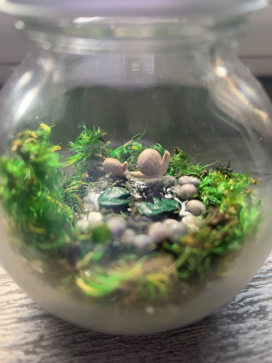 Miniature Snail in a Jar - Etsy