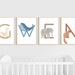 W - WAL / English, German / ABC, Alphabet, Letter, Animal, Name ...