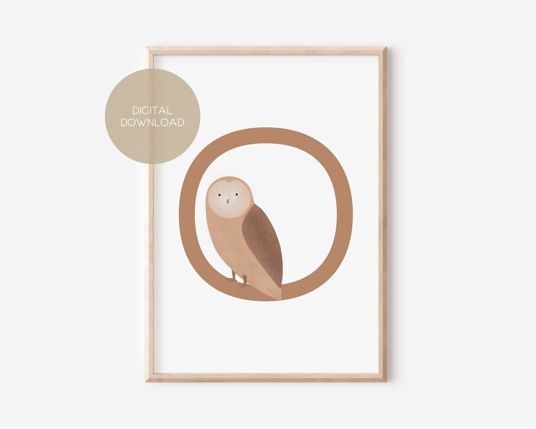 O - OWL / English / ABC, Alphabet, Letter, Animal, Name / Nursery ...