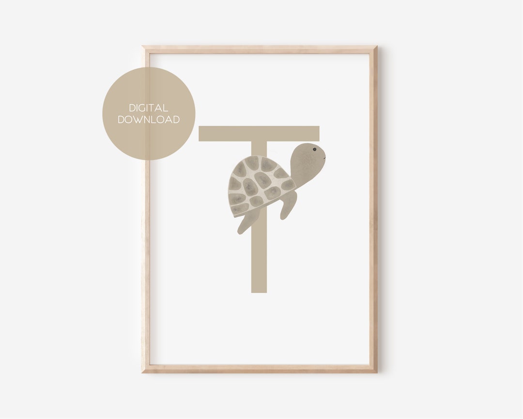 T TURTLE / English / ABC, Alphabet, Letter, Animal, Name / Nursery ...