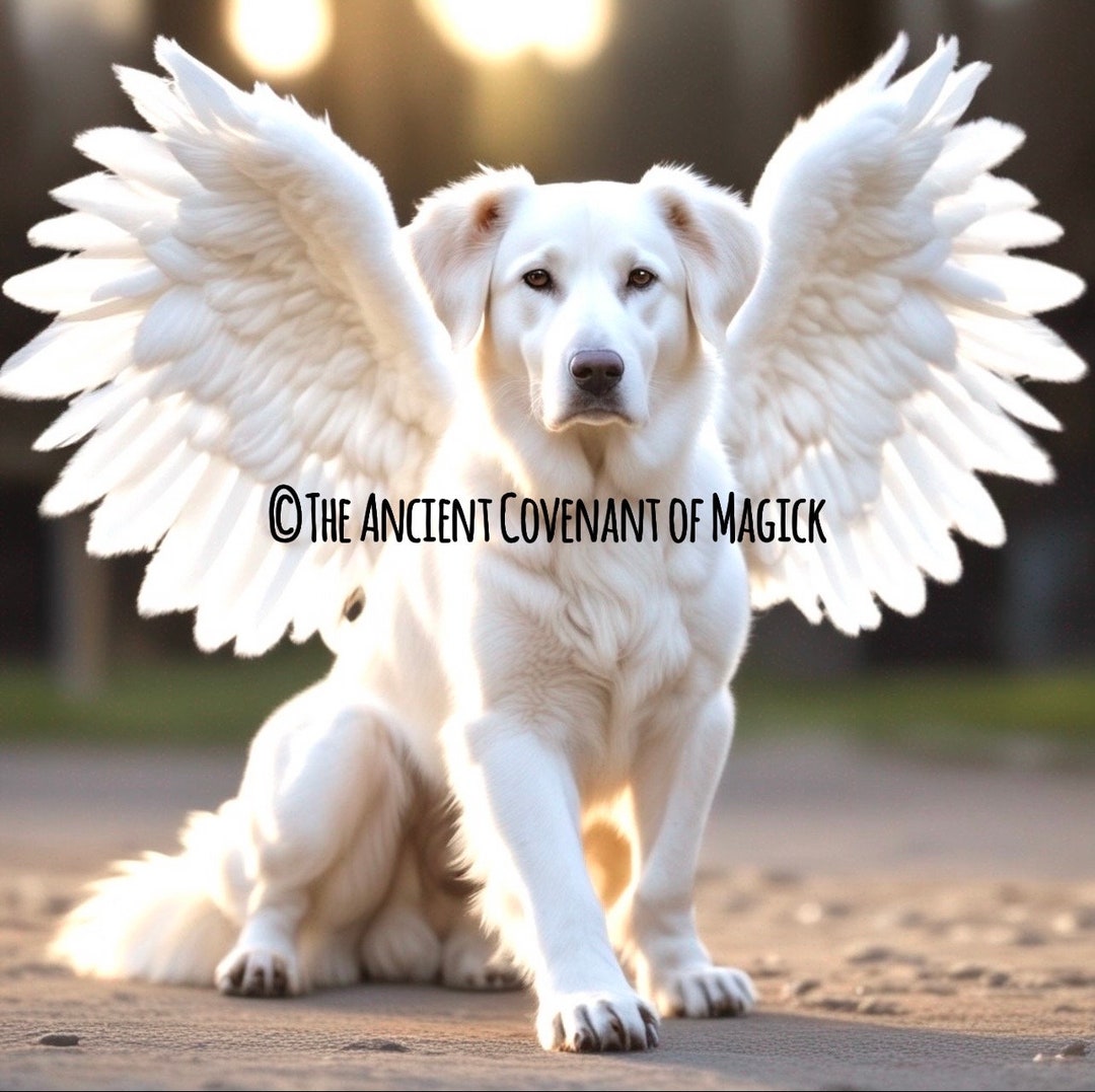 Celestial Canine Spirit Companion - A Divine Guardian of Pure Angelic ...