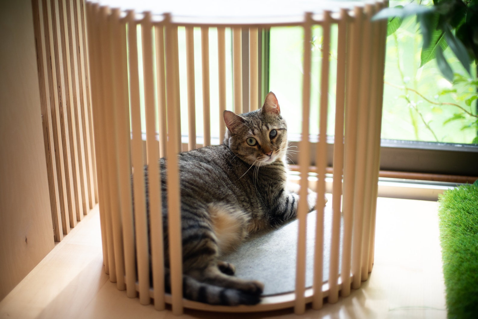 Round Cat House Modern Cat House Modern Cat Furniture Cat - Etsy