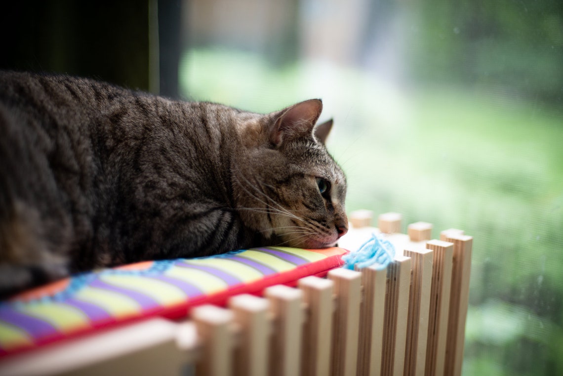 Etsy Design Awards Winner 2022 Rectangular Cat House Large - Etsy