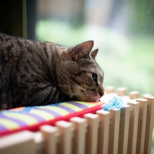 Etsy Design Awards Winner 2022 Rectangular Cat House, Large Cat House ...