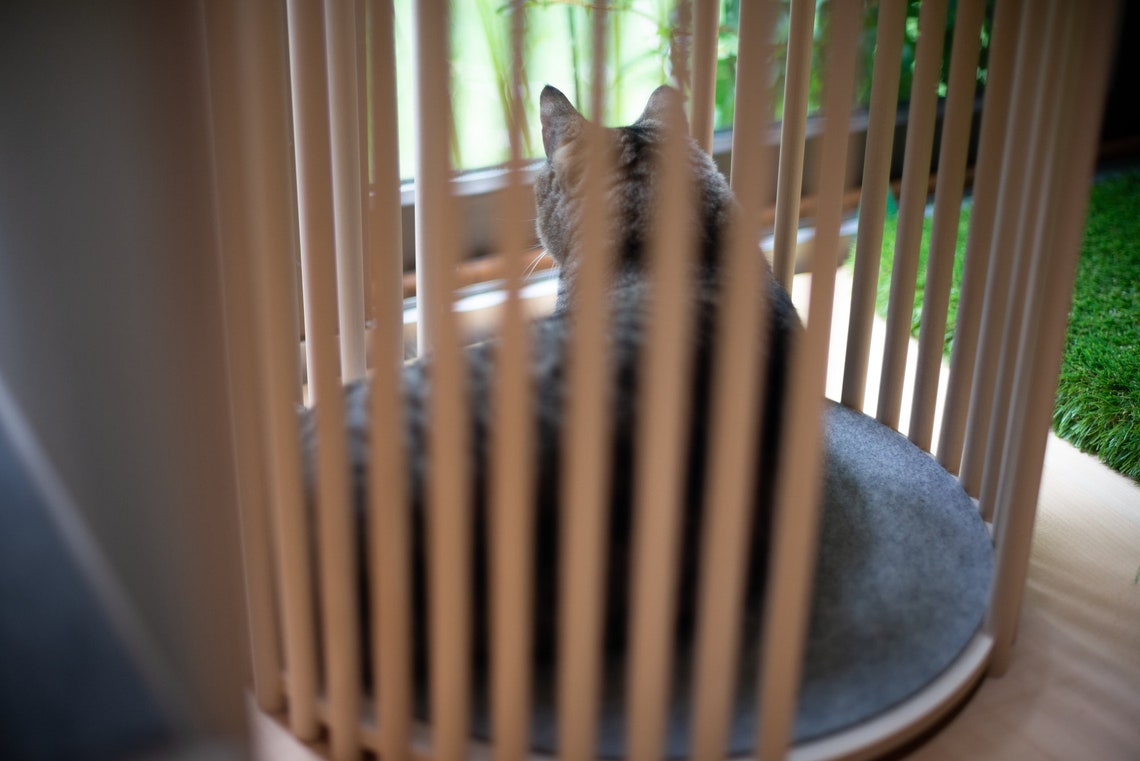 Round Cat House Modern Cat House Modern Cat Furniture Cat - Etsy