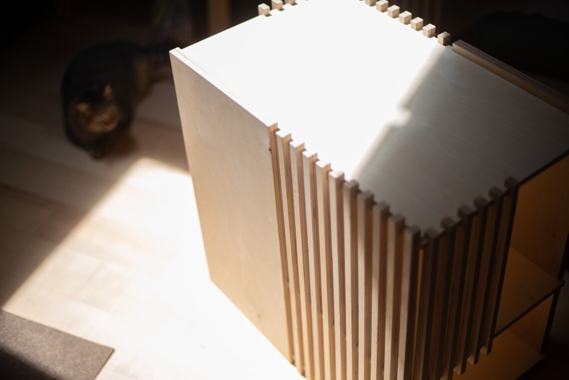 Etsy Design Awards Winner 2022 Rectangular Cat House Large - Etsy