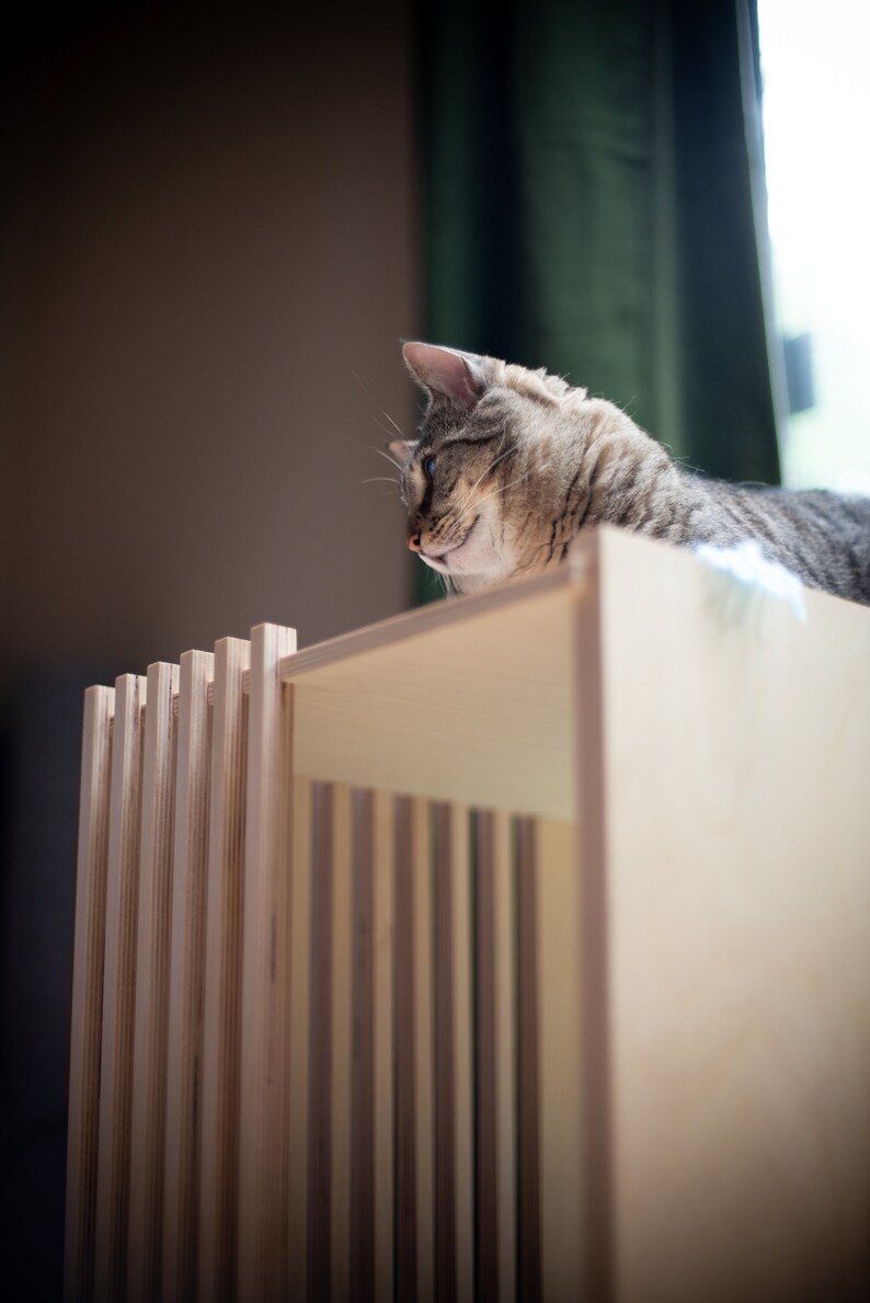 Etsy Design Awards Winner 2022 Rectangular Cat House Large - Etsy