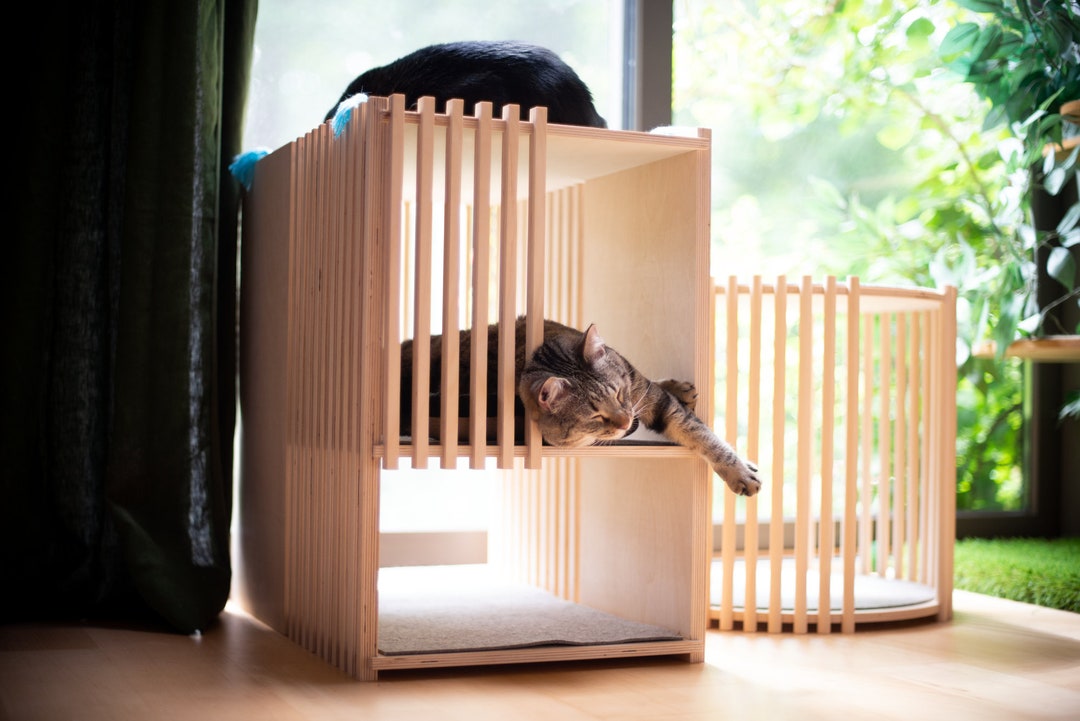 Etsy Design Awards Winner 2022 Rectangular Cat House, Large Cat House ...
