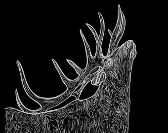 Elk Line Drawing | Etsy