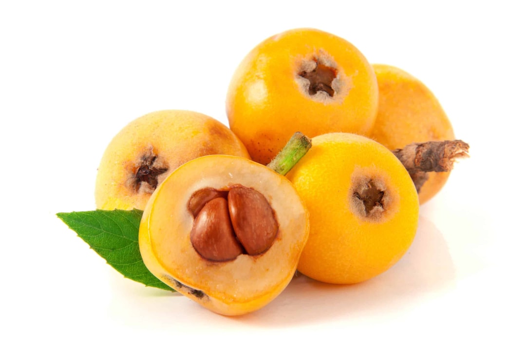 Loquat Fruit Seeds From My Garden | Free Shipping | Sweet Yellow ...