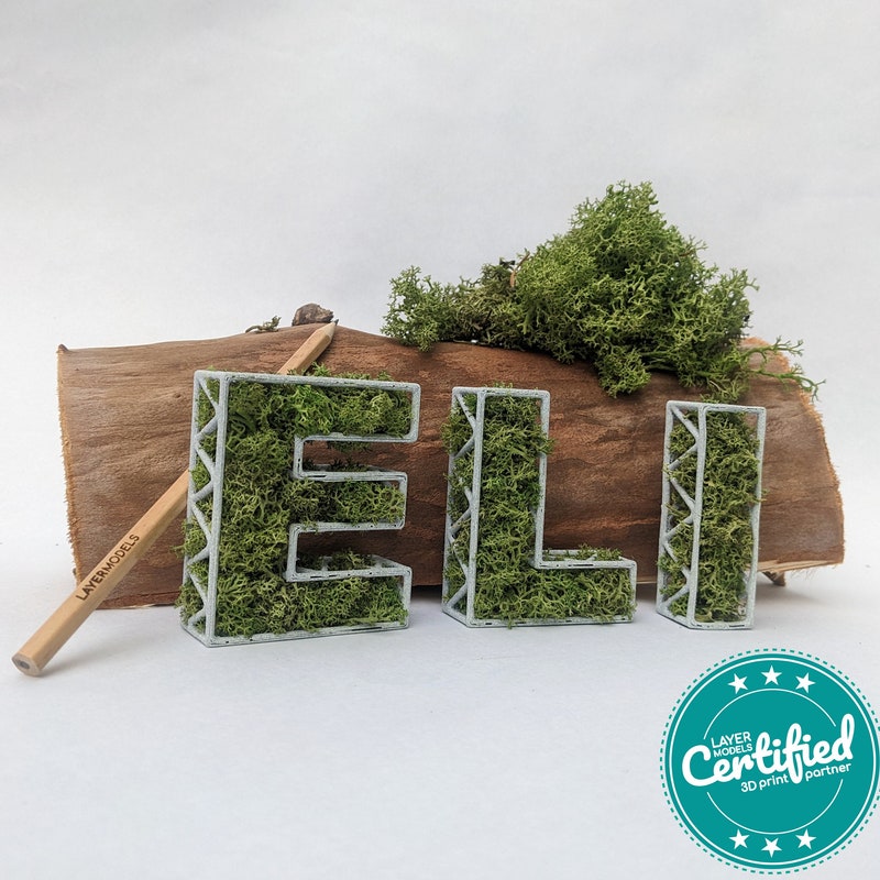 Moss Letter - Etsy