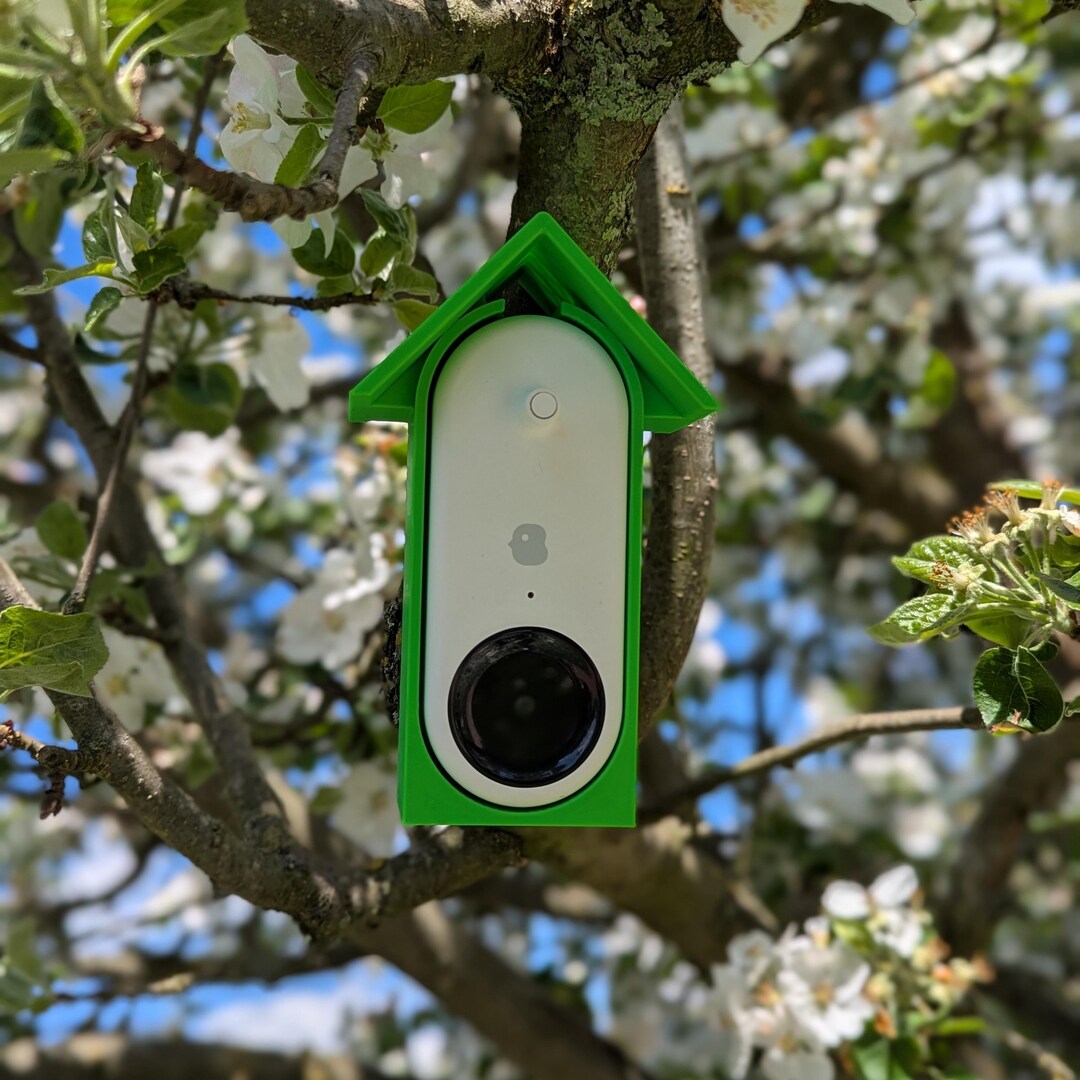 Camera Mount for the Bird Buddy! Use Your Own Bird Feeders, Birdbaths ...