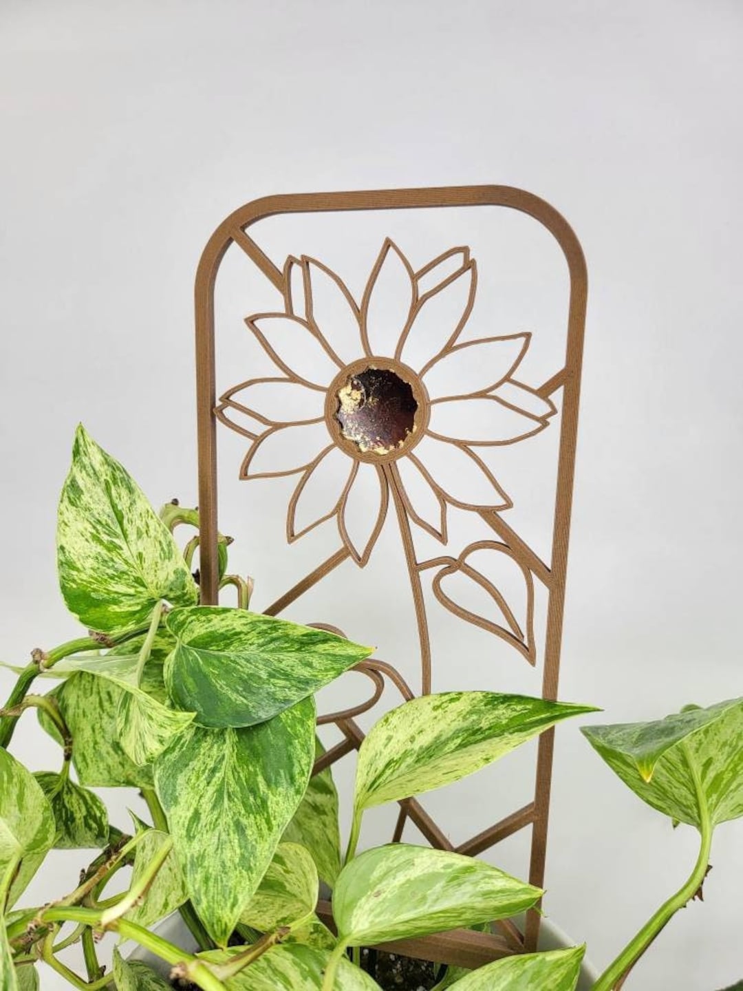 Sunflower Trellis for Indoor Houseplants, Hoya Plant Support, 3D ...