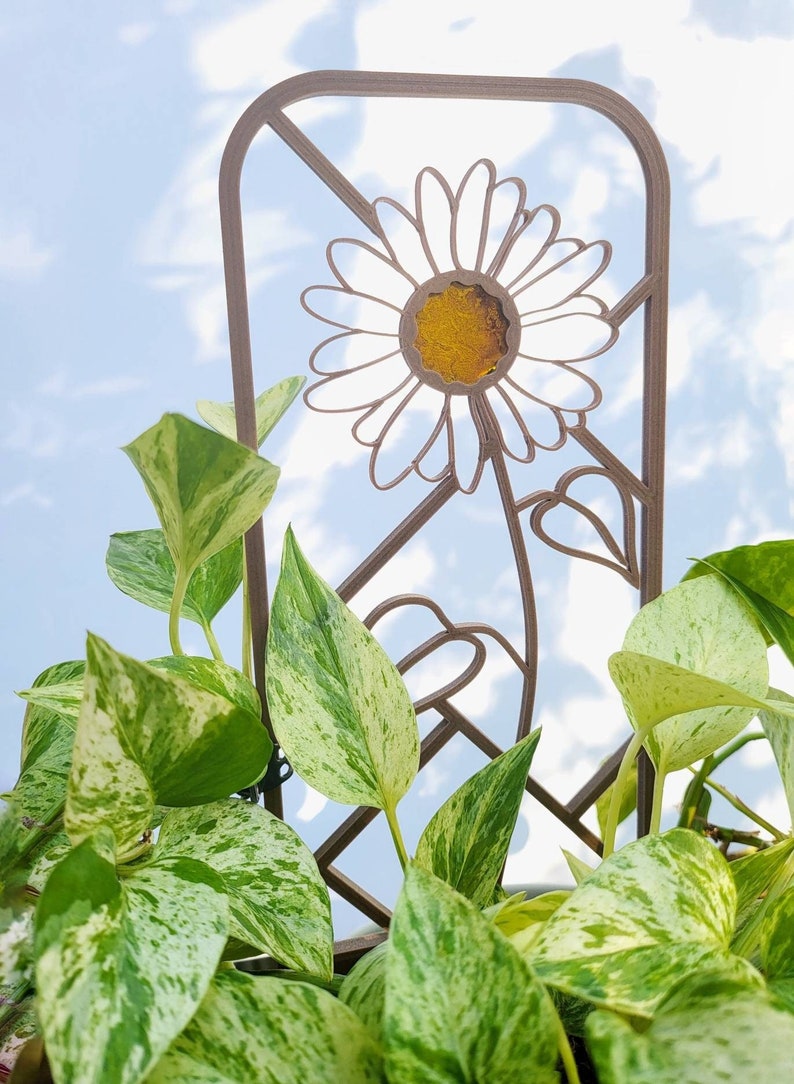 Daisy Trellis for Houseplants, Plant Support, 3D Printed, Unique ...