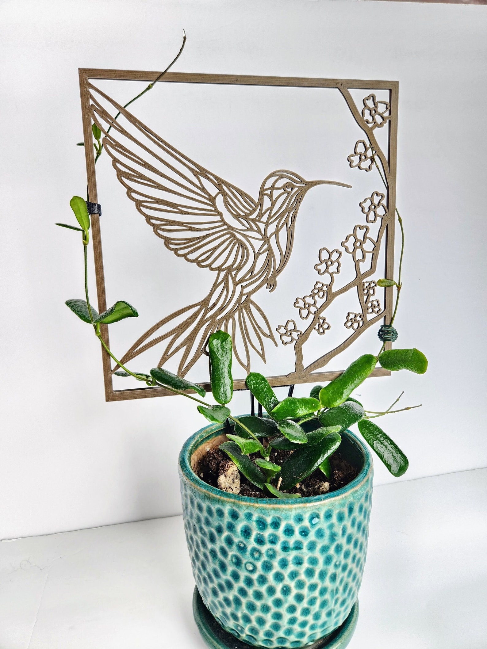 Hummingbird Plant Trellis: Cherry Blossom Hoya Support, 3D Printed for ...