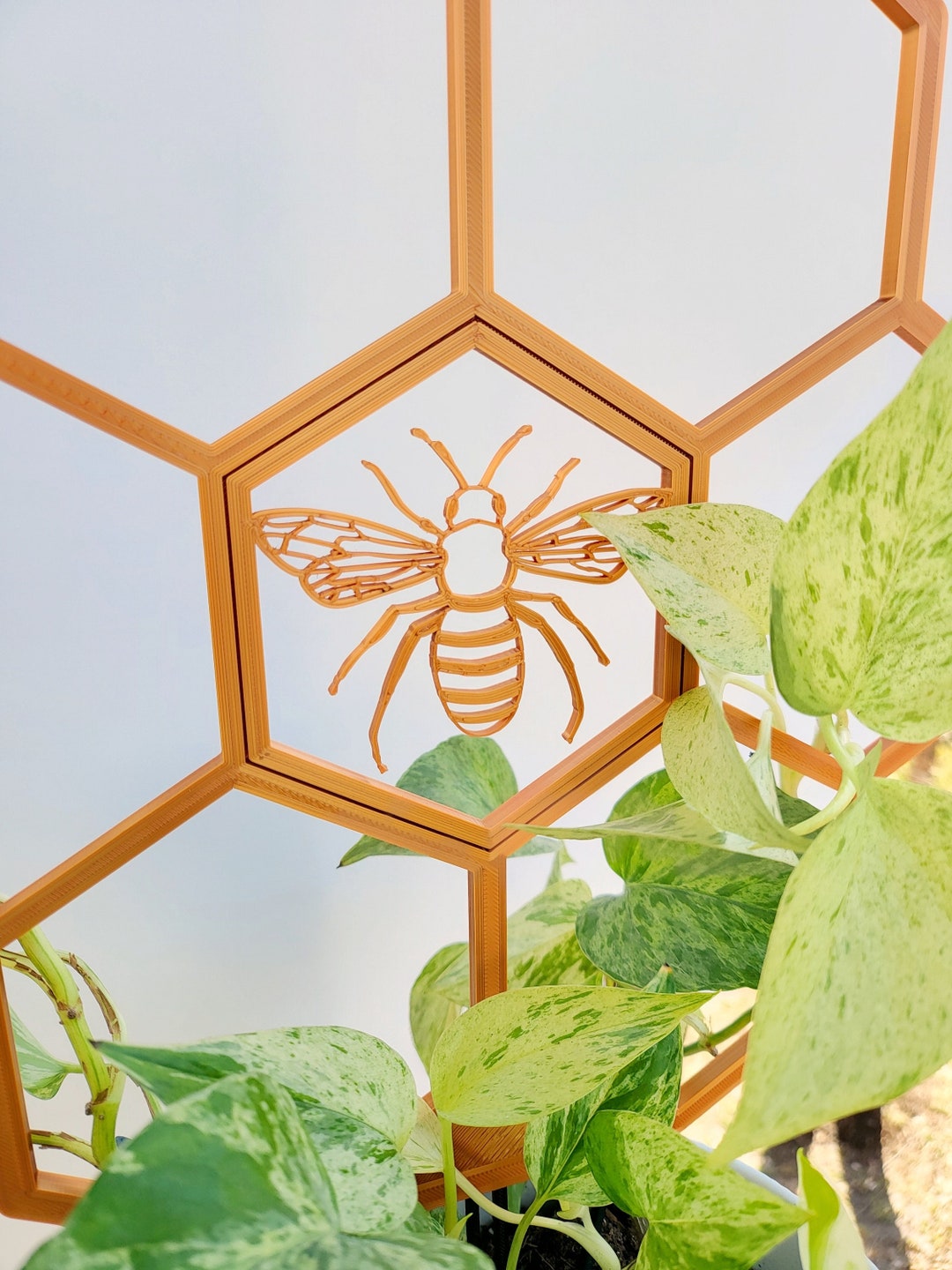 Hexagon Honeybee Houseplant Trellis, Plant Support, 3D Printed, Indoor ...