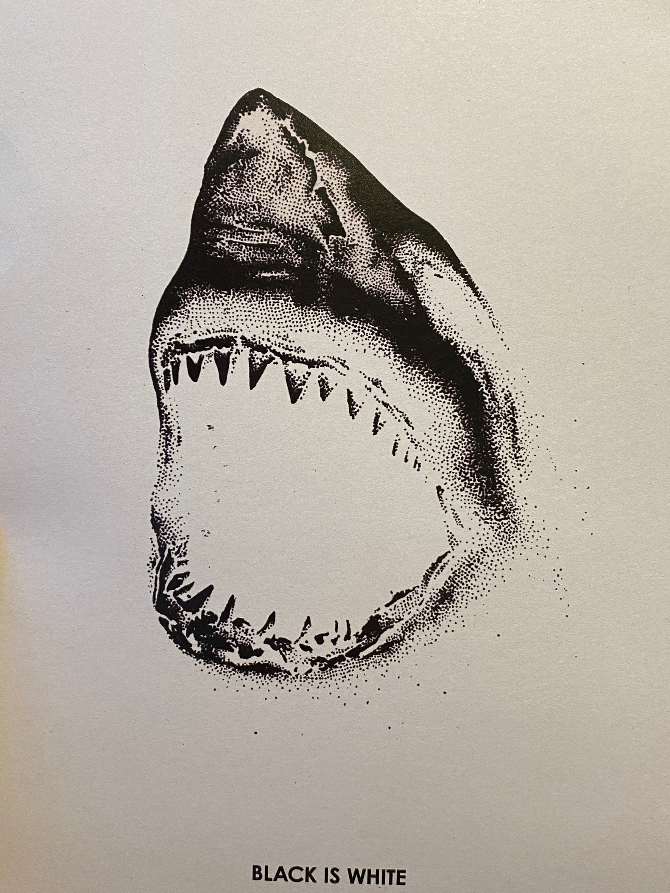 Three Shark Prints (A5) - Etsy
