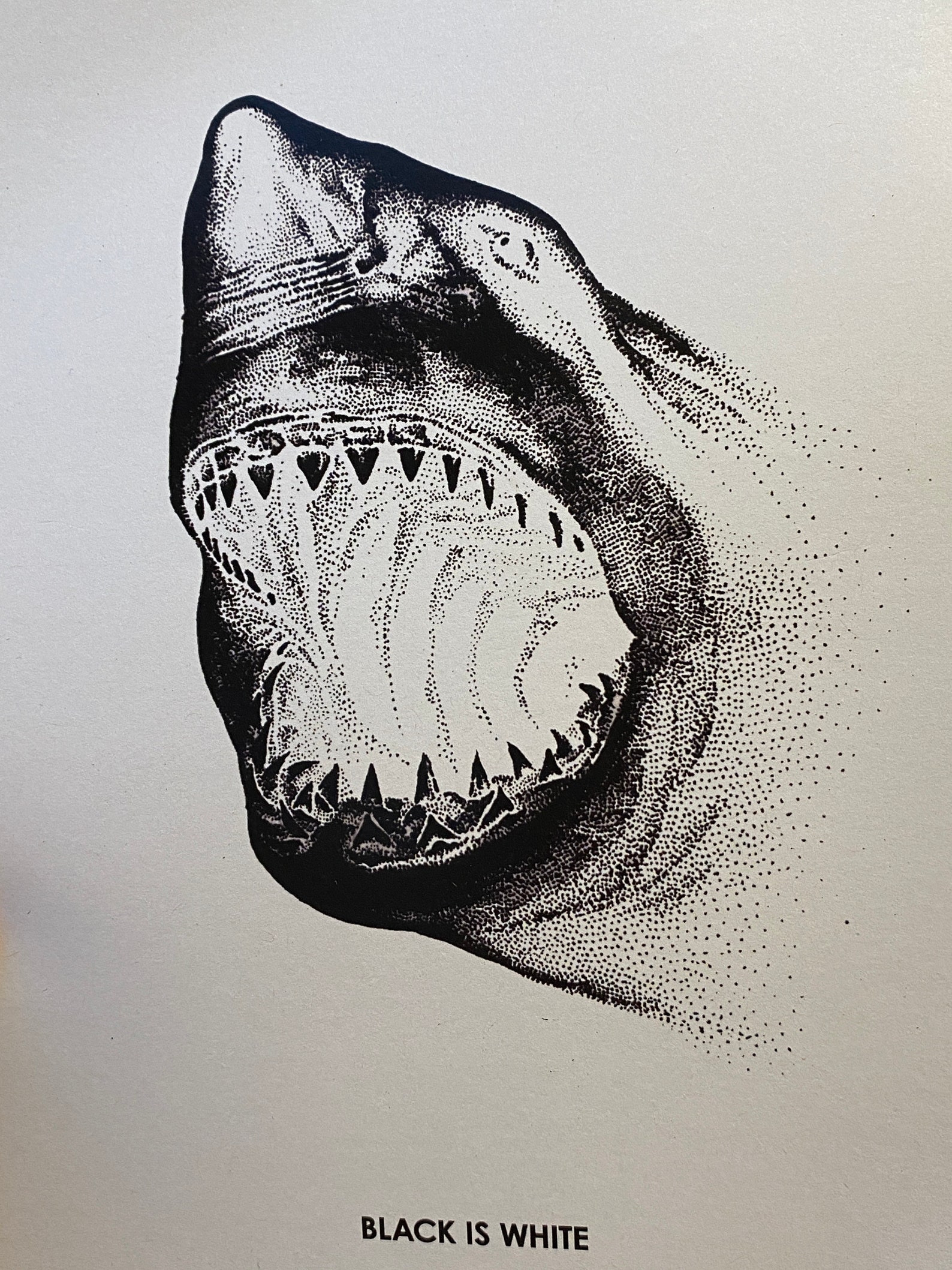 Three Shark Prints (A5) - Etsy