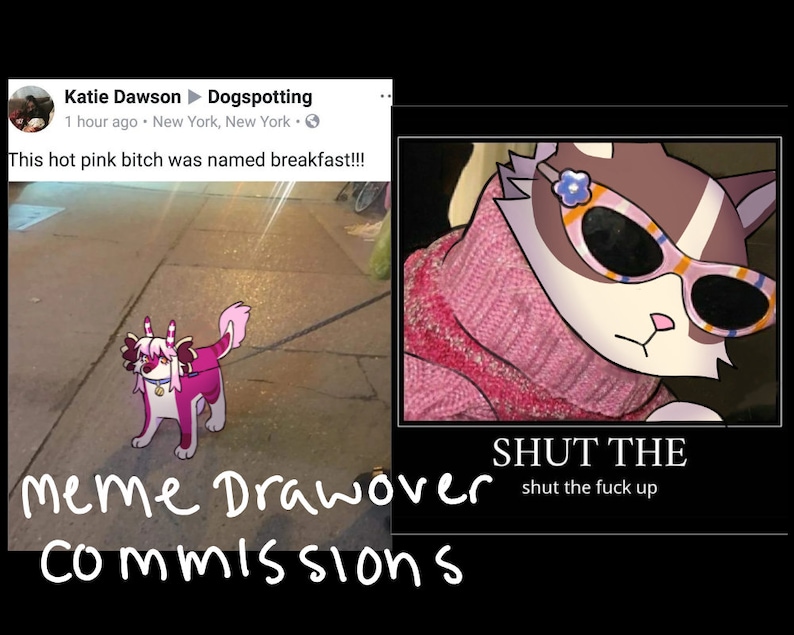 Custom Fursona Meme Drawover Commissions READ DESC B4 BUYING - Etsy