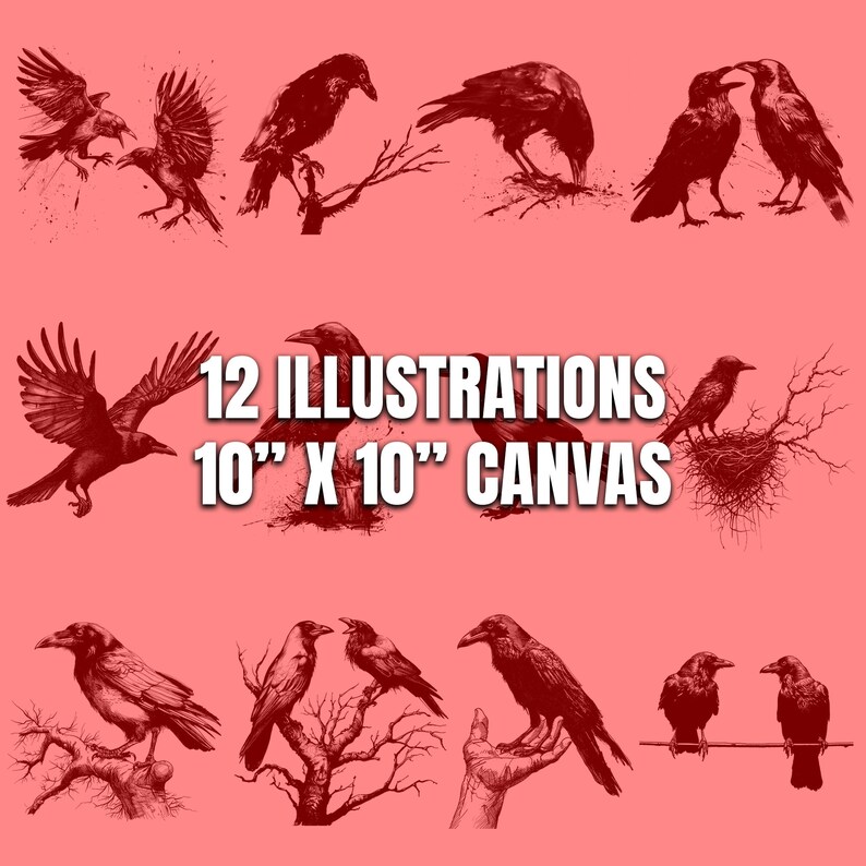 Ink Crow Clip Art Bundle - Set of 12 PNG Illustrations, Transparent ...