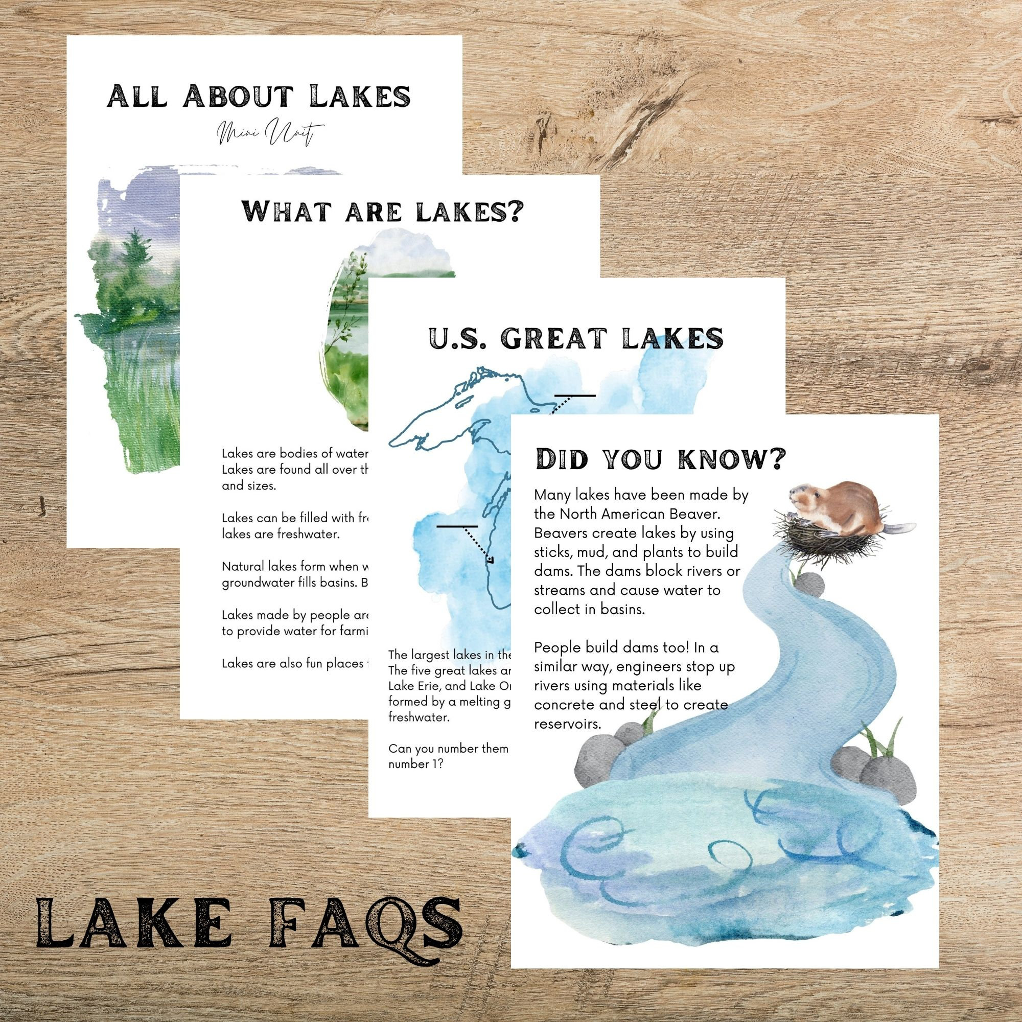 All About Lakes Mini Unit Study North American Homeschool Pre-k ...