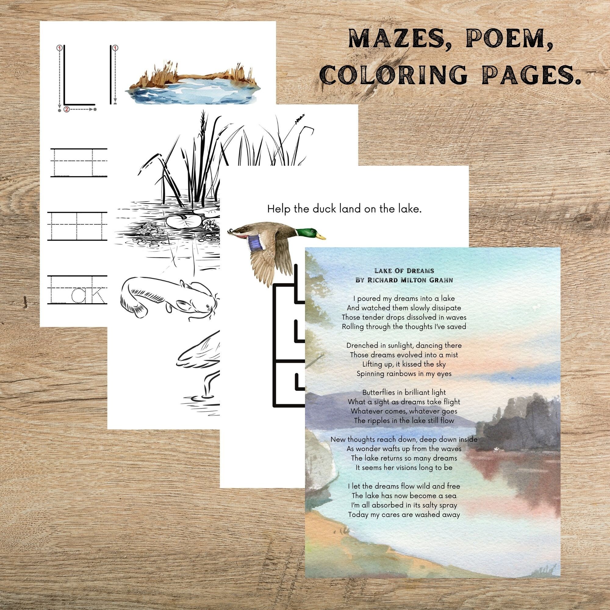 All About Lakes Mini Unit Study North American Homeschool Pre-k ...