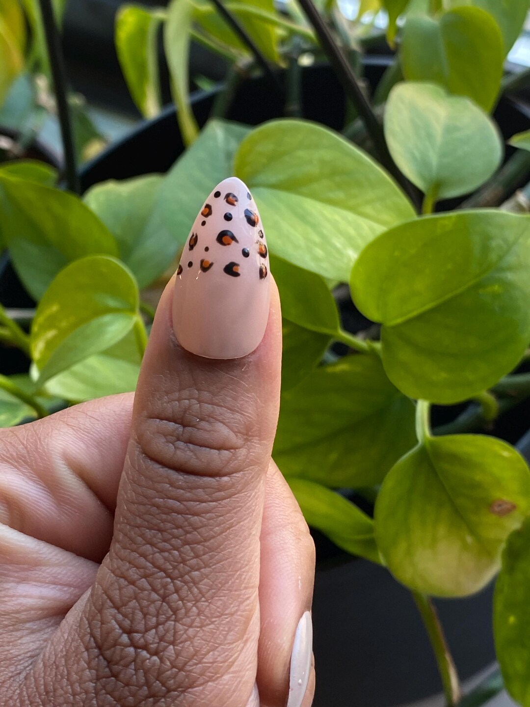 Cheetah Print French Tip Press on Nails - Etsy