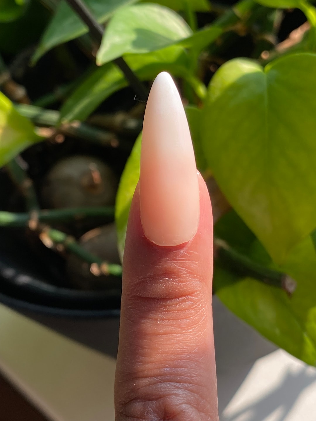 White Ombré French Tips Press on Nails - Etsy