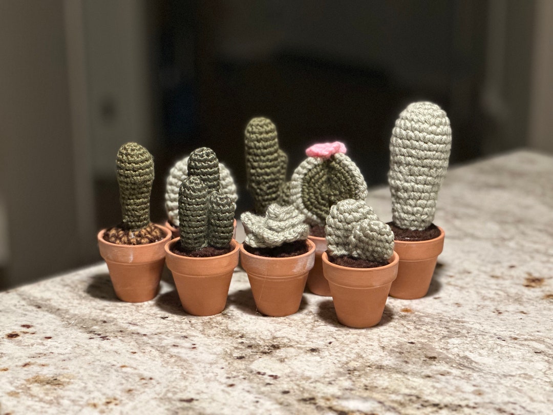 Crochet Mini Cactus - Etsy