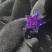 Chunky Resin Star Rings - Etsy