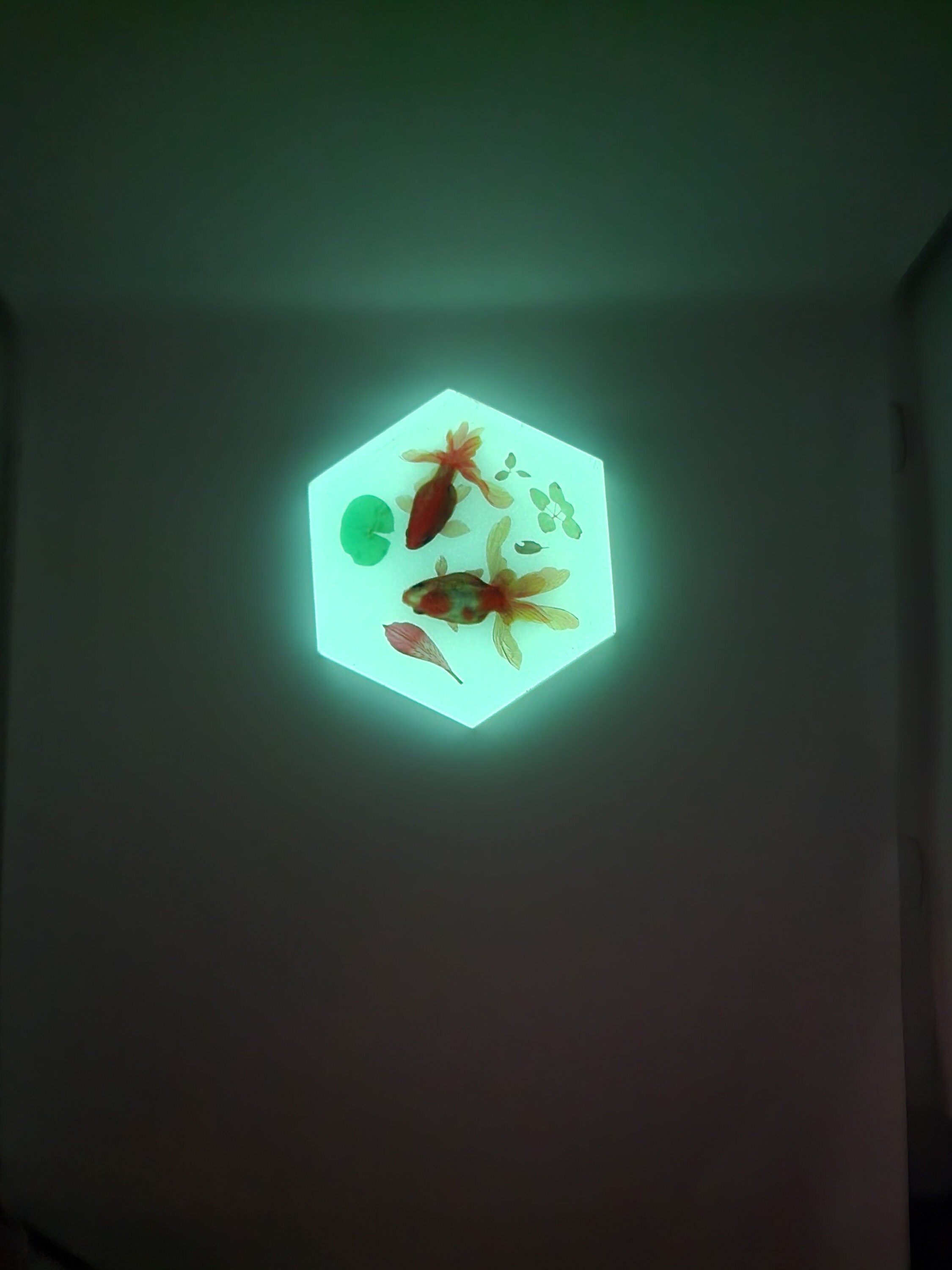 Set of 4 Glow in the Dark Goldfish and Beta Coasters - Etsy