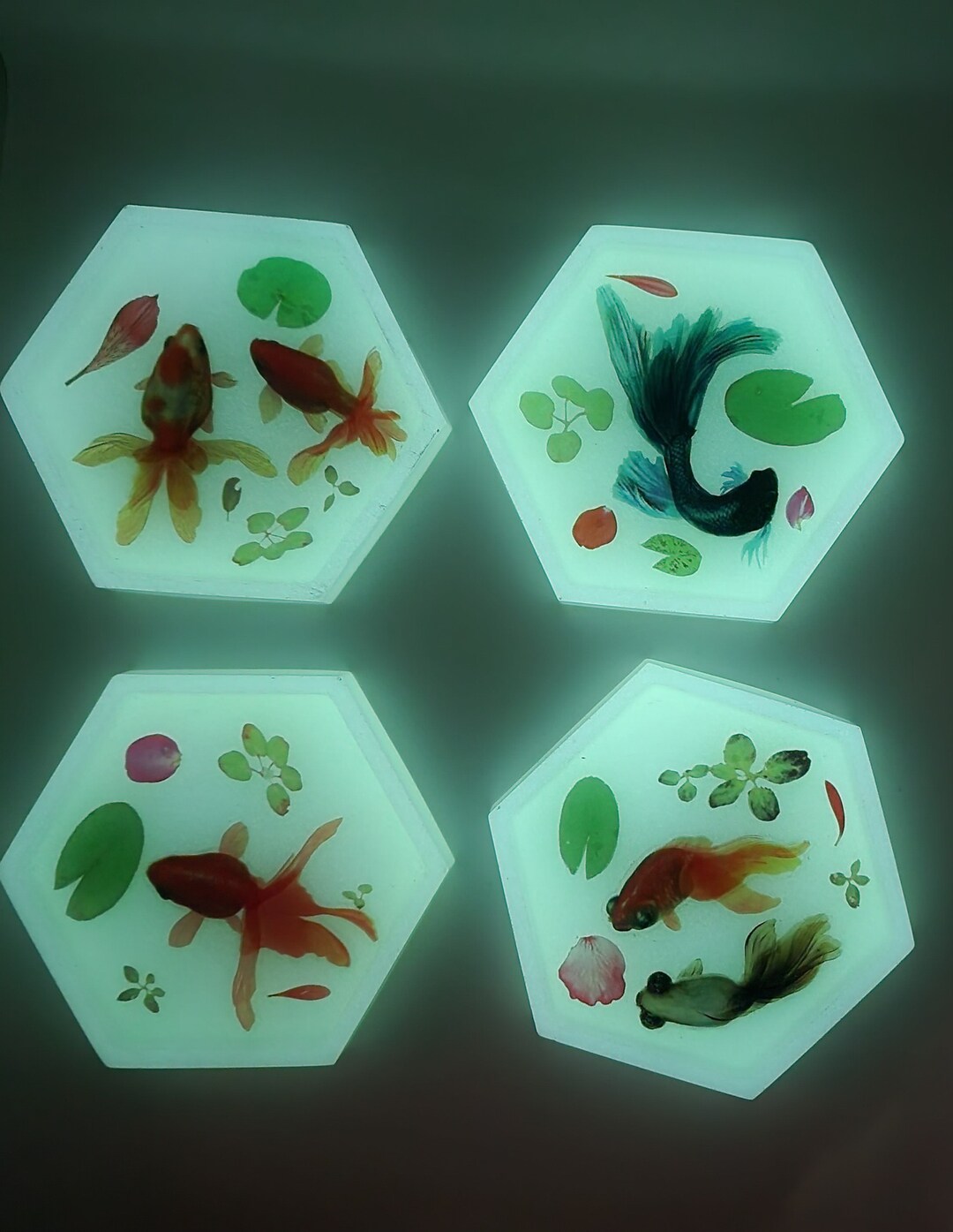 Set of 4 Glow in the Dark Goldfish and Beta Coasters - Etsy
