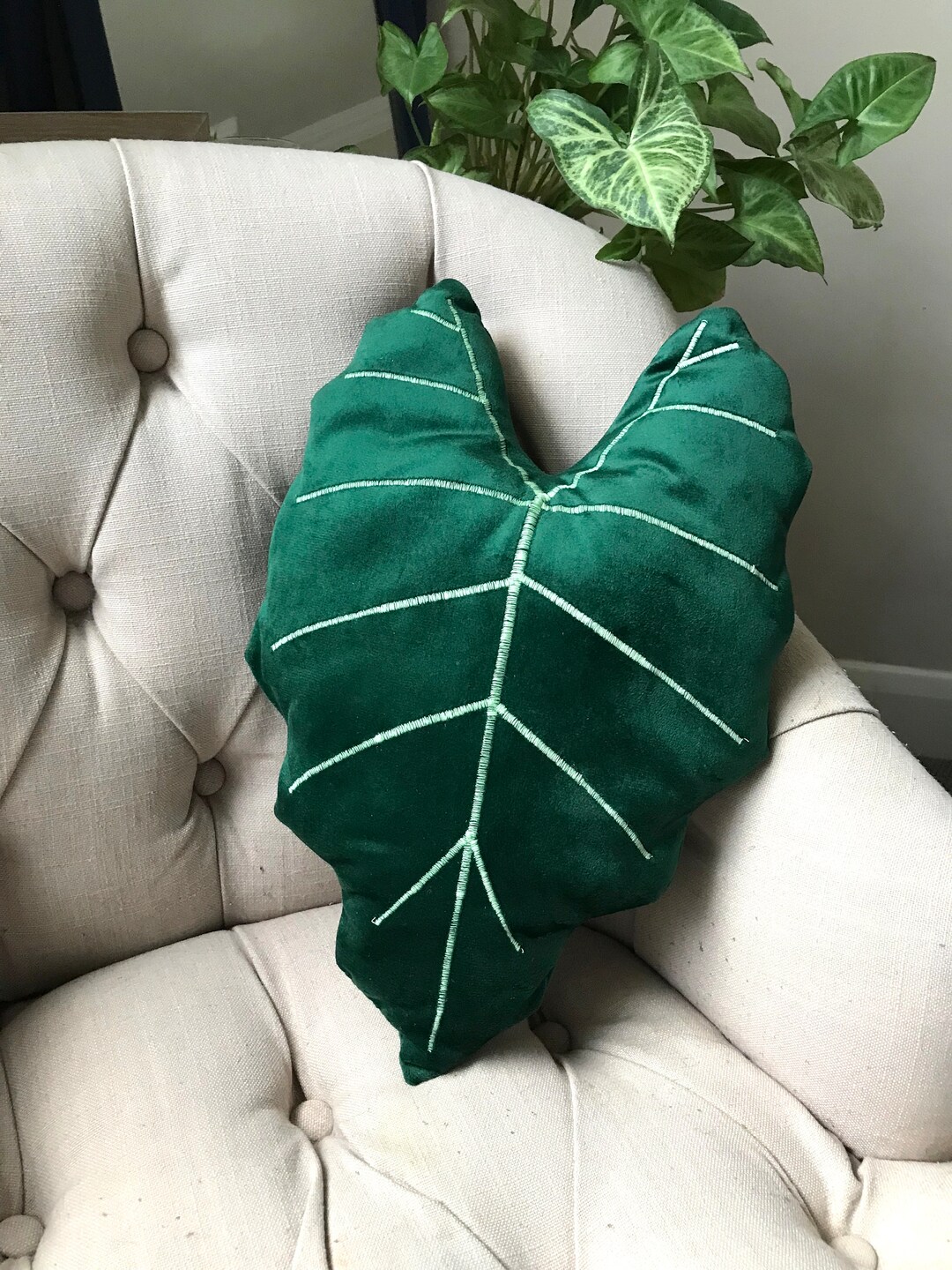 Alocasia Leaf Cushion, Plush Velvet Cushion, Green Velvet, Urban Jungle ...