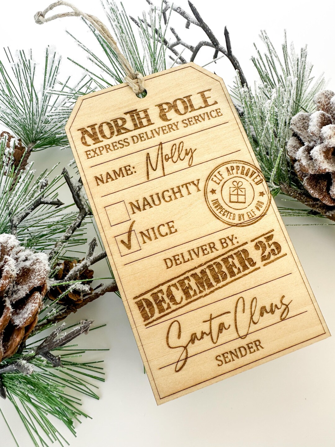 Special Delivery Santa Present Tag | Naughty or Nice | Gift Name Tag ...