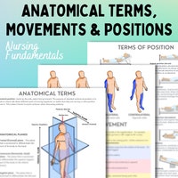 Anatomy Worksheet: Body Planes, Cavities, Directional Terms (PDF ...