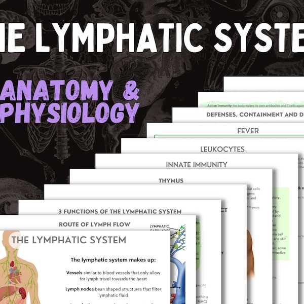 The Lymphatic System: A Comprehensive Visual Guide PDF HQ FILE - Etsy ...