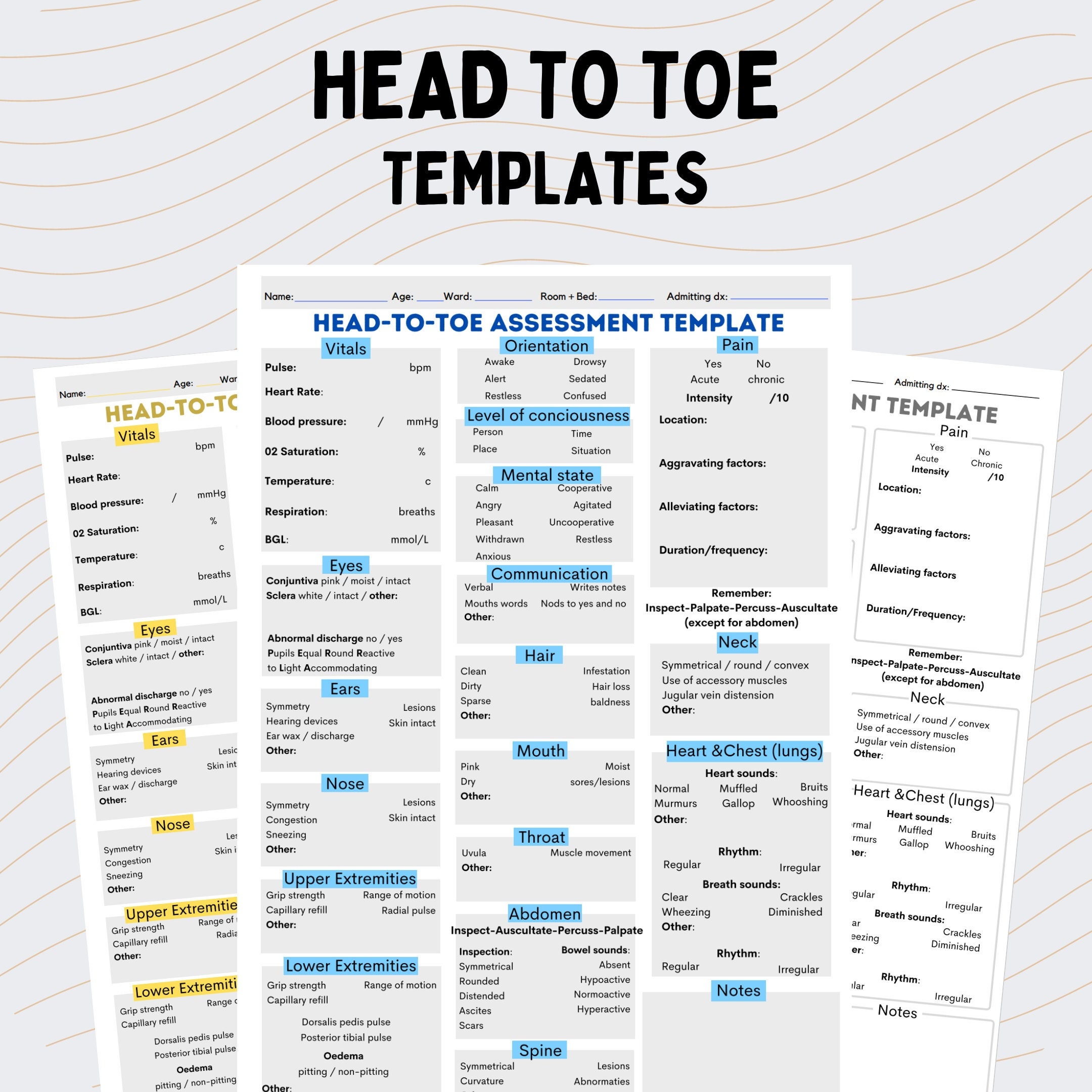 Head to Toe Assessment Template for Nursing Students - Etsy