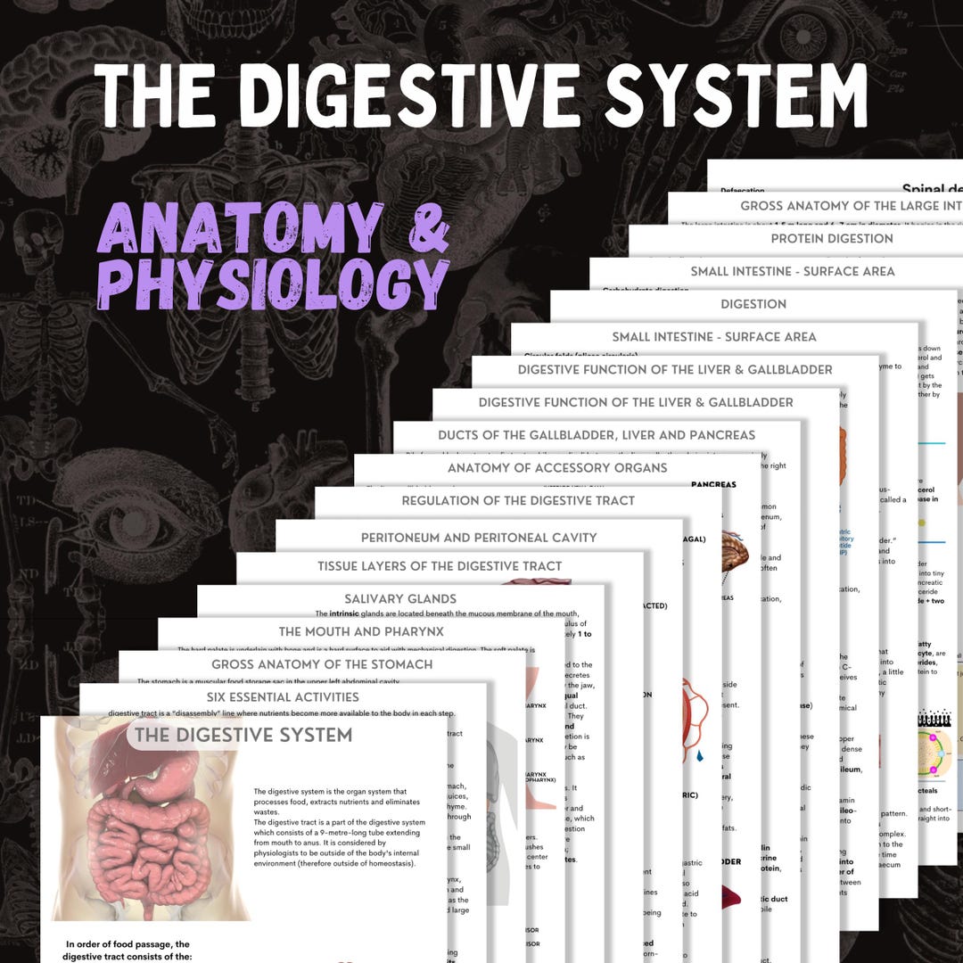 The Digestive System and Nutrition | A&P | 31 Page Digital Download - Etsy