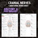 The Brain Anatomy and Physiology Nursing Notes | 5 Page Pdf Download - Etsy