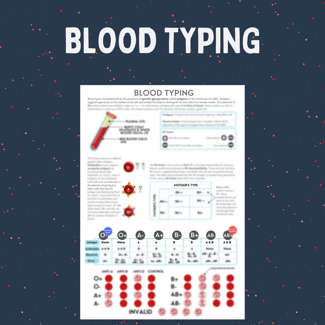 Blood Typing Guide for Student Nurses | 1 Page Pdf - Etsy