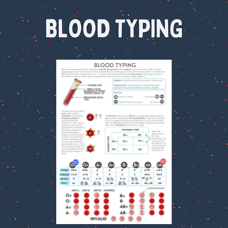 Blood Typing Guide for Student Nurses | 1 Page Pdf - Etsy