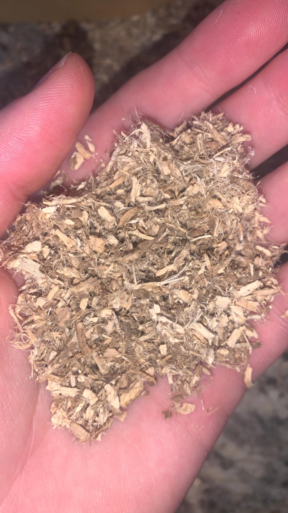 Marshmallow Root | Organic & Dried - Etsy