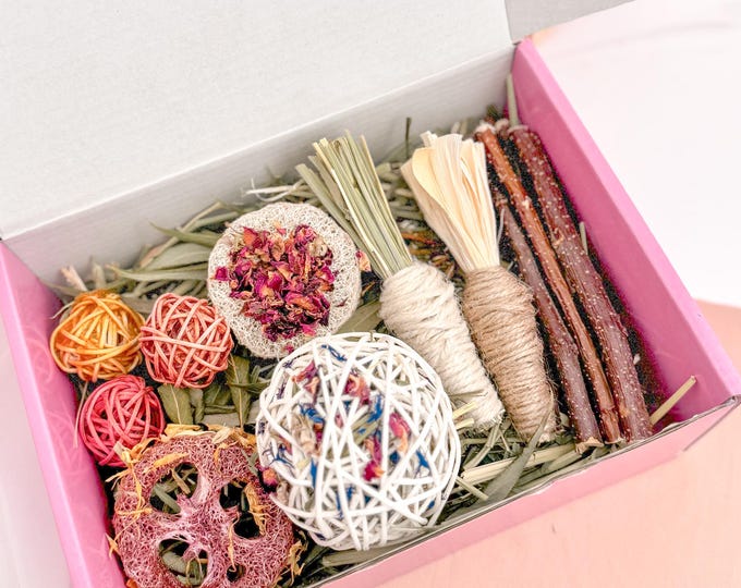 Premium Toy Box | Rabbit | Guinea Pig | Small Pet | Chinchilla ...