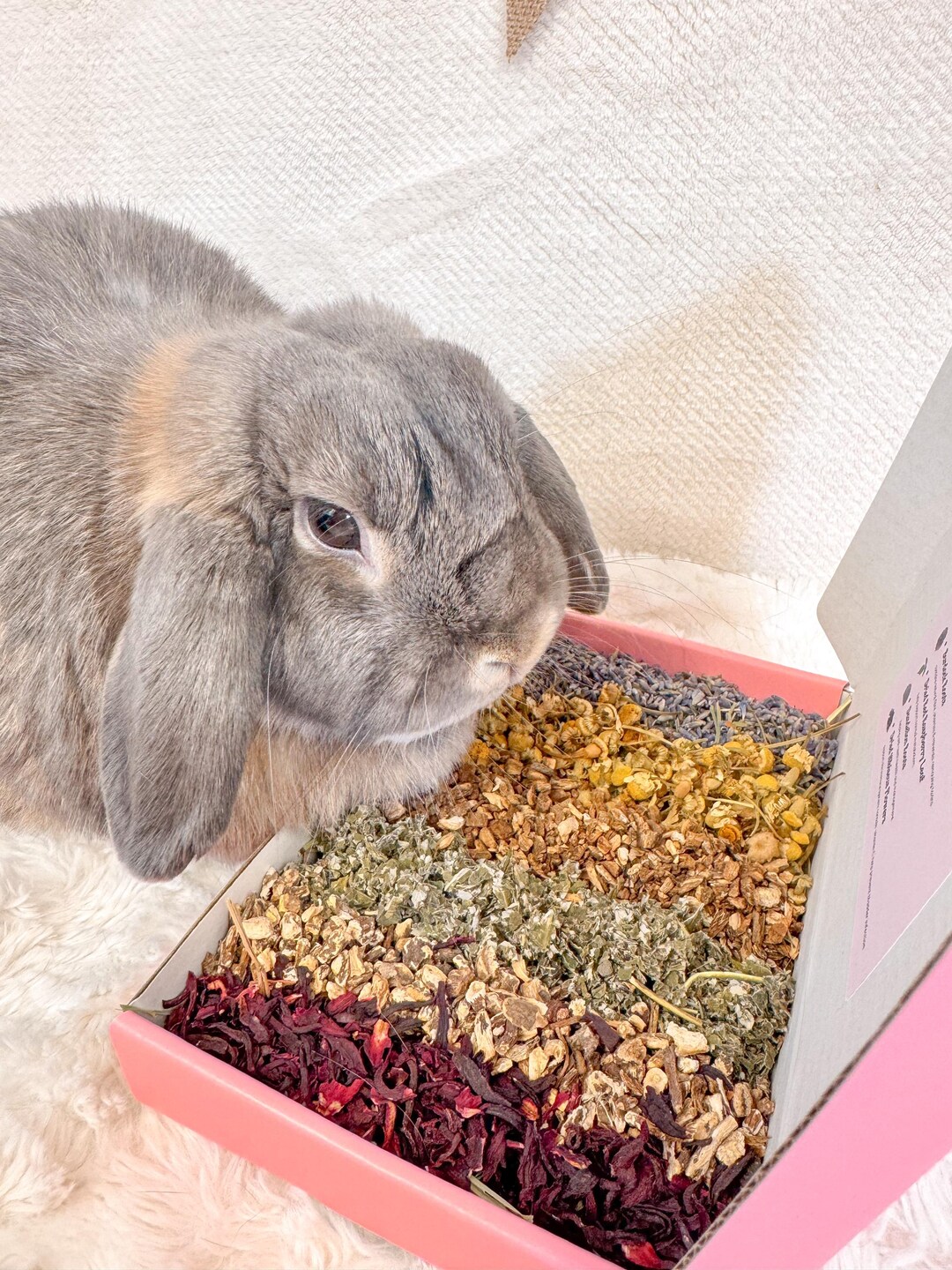 Rabbit Herbal Forage Box | A Field of Health Delights | Small Animal ...