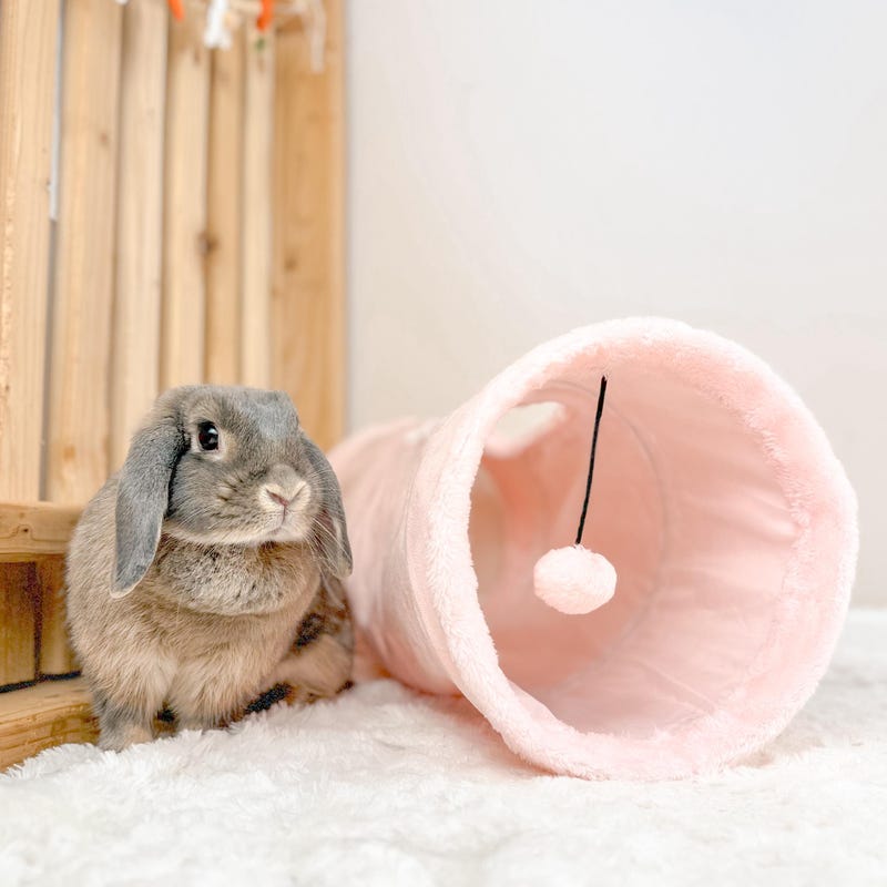 Rabbit Tunnel - Etsy