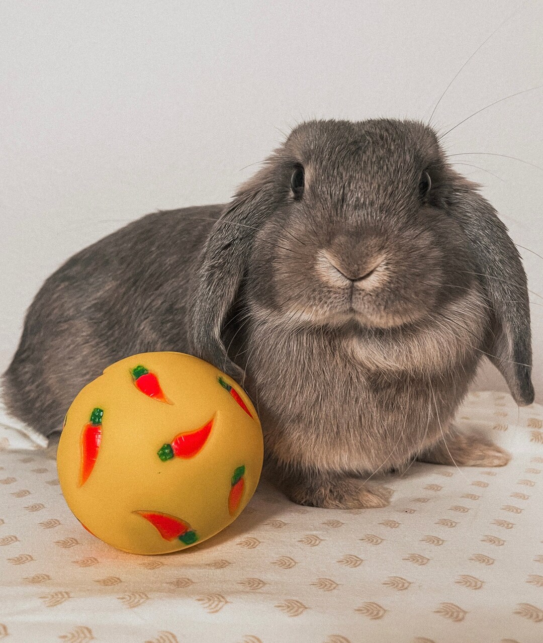 Treat Ball Bunny Treat Ball Pet Slow Feeder Bowl Interactive Toy Snack ...