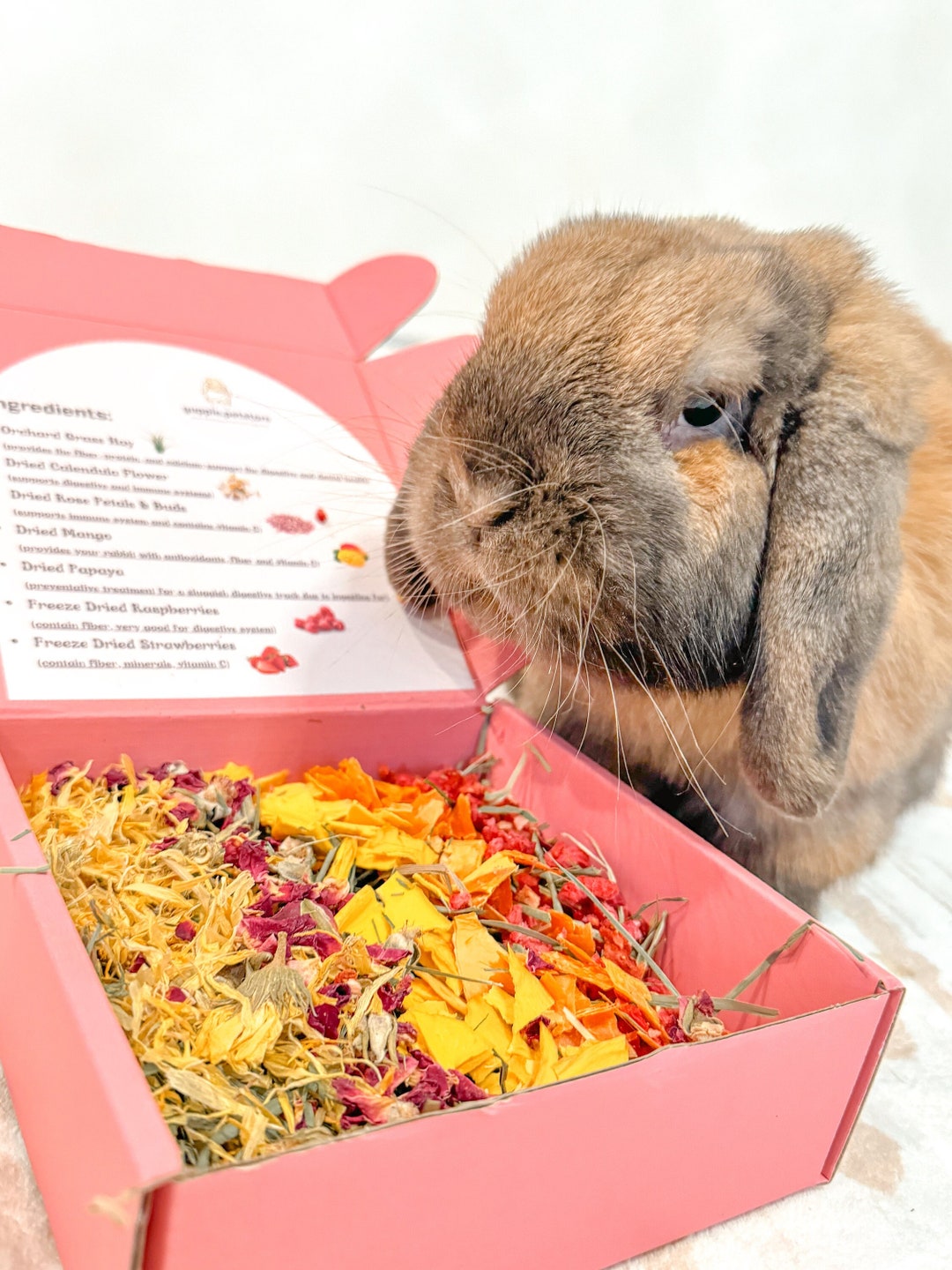 Rabbit Forage Box: Floral & Fruit Sweet Treats - Etsy