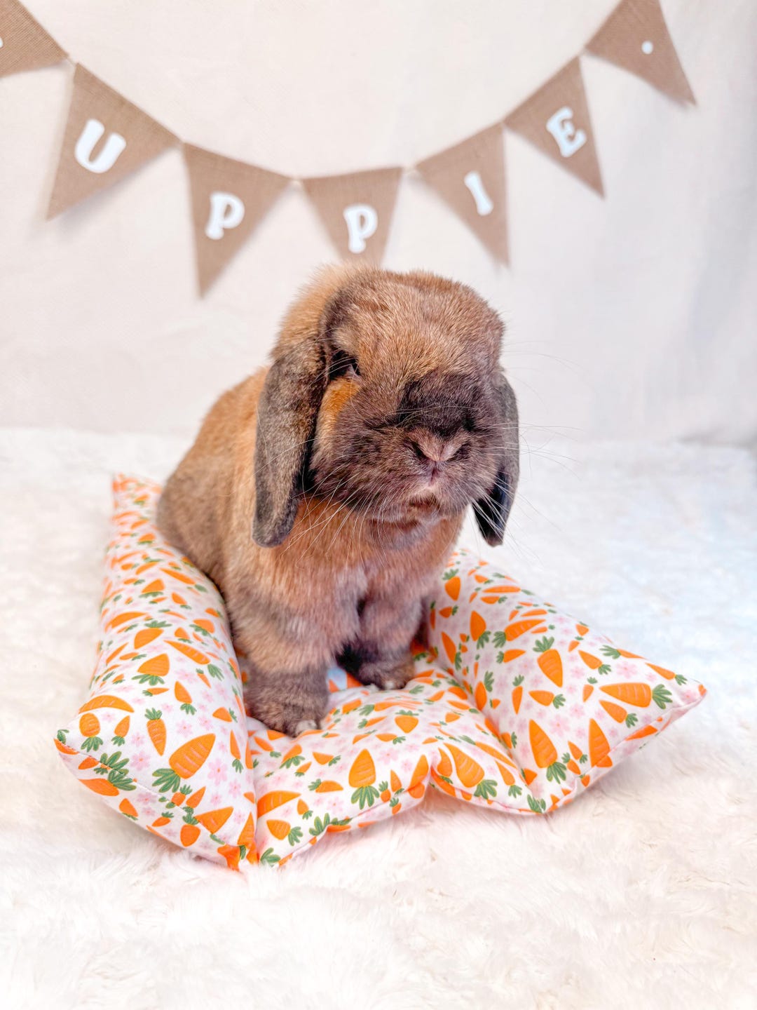 Personalized Bunny Bed | Bunny Lounger Pillow | Bunny Flop Bed | Bunny ...