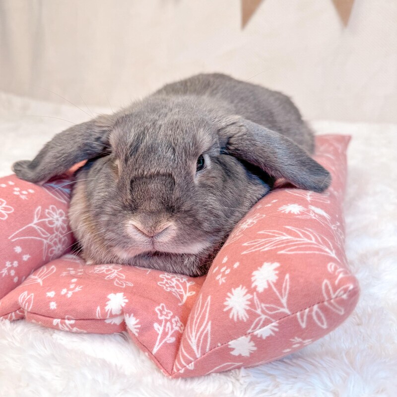 Bunny Rabbit Pillow - Etsy