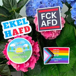 FCK AFD Vinyl Sticker Wasserfest Set // 4 Stück - Etsy.de